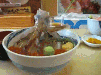 Squid GIFs - Get the best gif on GIFER