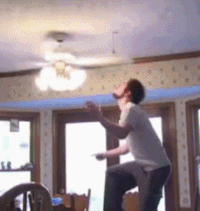 Stupid GIFs - Get the best gif on GIFER