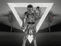 Boxer GIFs - Get the best gif on GIFER