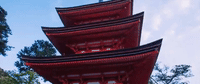 Tokio GIFs - Get the best gif on GIFER