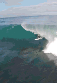 Surfs GIFs - Get the best gif on GIFER