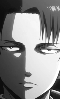 Levi GIFs - Get the best gif on GIFER