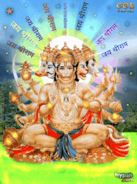 Rammed GIFs - Get the best gif on GIFER