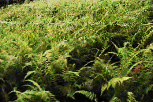 Snuff GIF - Conseguir o melhor gif em GIFER