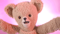 Teddy GIFs - Get the best gif on GIFER