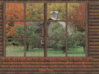 Autumn GIFs - Get the best gif on GIFER