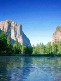 Natureza GIFs - Get the best gif on GIFER
