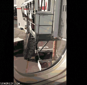 Handlers GIF - Conseguir o melhor gif em GIFER