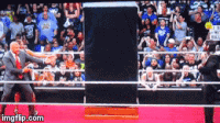 Sting GIFs - Get the best gif on GIFER