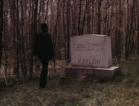 Backwoods massacre GIF - Conseguir o melhor gif em GIFER