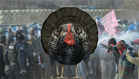Indigenous self determination GIF - Conseguir o melhor gif em GIFER