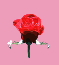 Ty GIFs - Get the best gif on GIFER