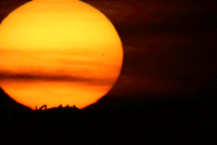 Sunset GIFs - Get the best gif on GIFER