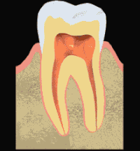 Root GIFs - Get the best gif on GIFER