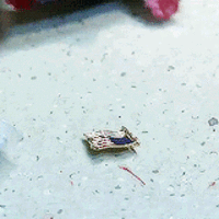 Quivering GIFs - Get the best gif on GIFER