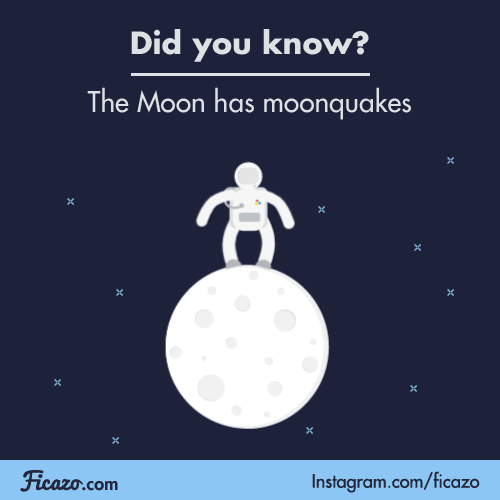 Moonquakes GIFs - Get the best gif on GIFER