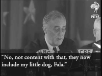 Fdr GIFs - Get the best gif on GIFER