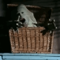 Casing GIFs - Get the best gif on GIFER