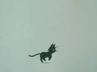 Meow GIFs - Get the best gif on GIFER