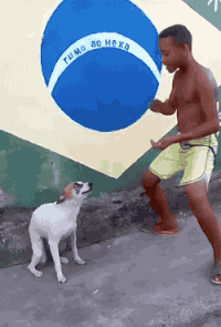 Brazil GIFs - Get the best gif on GIFER