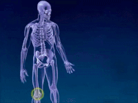 Hinge GIFs - Get the best gif on GIFER