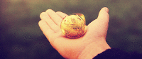Snitch GIFs - Get the best gif on GIFER