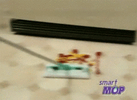 Mops GIFs - Get the best gif on GIFER