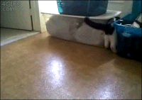 Ejected GIFs - Get the best gif on GIFER