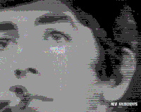 Bedazzled GIFs - Get the best gif on GIFER