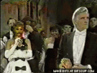 Reveals GIFs - Get the best gif on GIFER