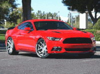 Mustang GIFs - Get the best gif on GIFER