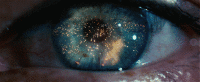 Bladerunner GIFs - Get the best gif on GIFER