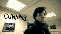 Cunning GIFs - Get the best gif on GIFER