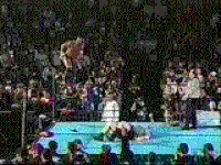 Roundup GIFs - Get the best gif on GIFER