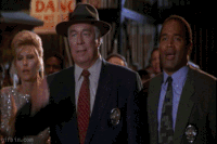Expert GIFs - Get the best gif on GIFER