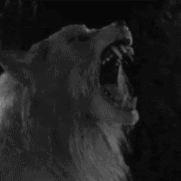 Werewolf GIFs - Get the best gif on GIFER