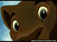 Timon GIFs - Get the best gif on GIFER