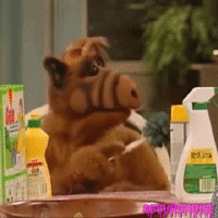 Alf GIFs - Get the best gif on GIFER