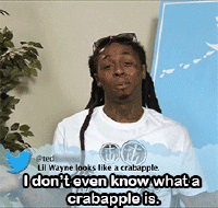 Lil Wayne Crabapple Gif
