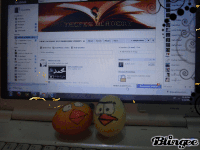 Banquet GIFs - Get the best gif on GIFER