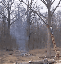 Ladders GIFs - Get the best gif on GIFER
