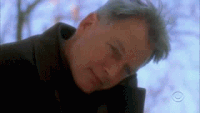 Ncis GIFs - Get the best gif on GIFER