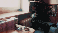 Counselors GIFs - Get the best gif on GIFER