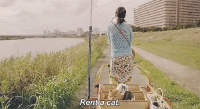 Rent GIFs - Get the best gif on GIFER