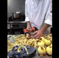 Moar GIFs - Get the best gif on GIFER