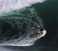 Surfs GIFs - Get the best gif on GIFER