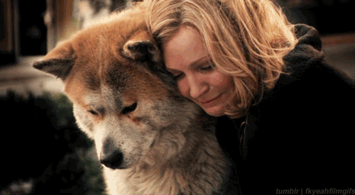Hachi GIFs - Get the best gif on GIFER