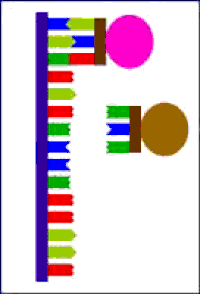 Biologia GIFs - Get the best gif on GIFER