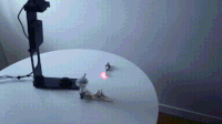 Miniature GIFs - Get the best gif on GIFER