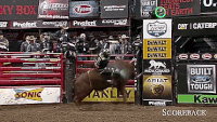 Compilation GIFs - Get the best gif on GIFER
